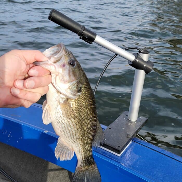 Fishing Specialties | Custom Downrod Systems